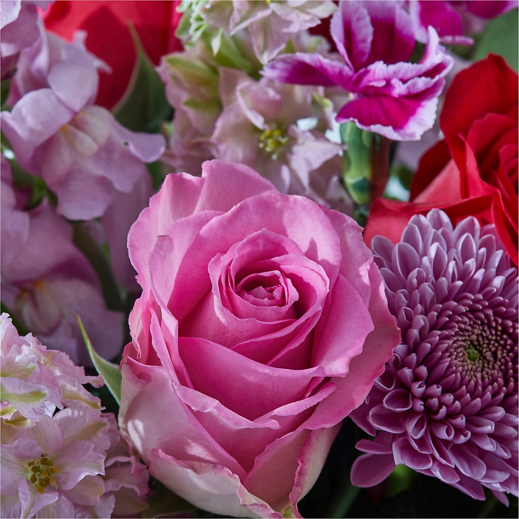 Seminole Florist | Same Day Flower Delivery by Seminole Florist
